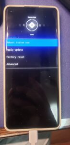 oneplus 8 pro (一加8pro) 刷入第三方系统 Evolution X - 企鹅大大的博客